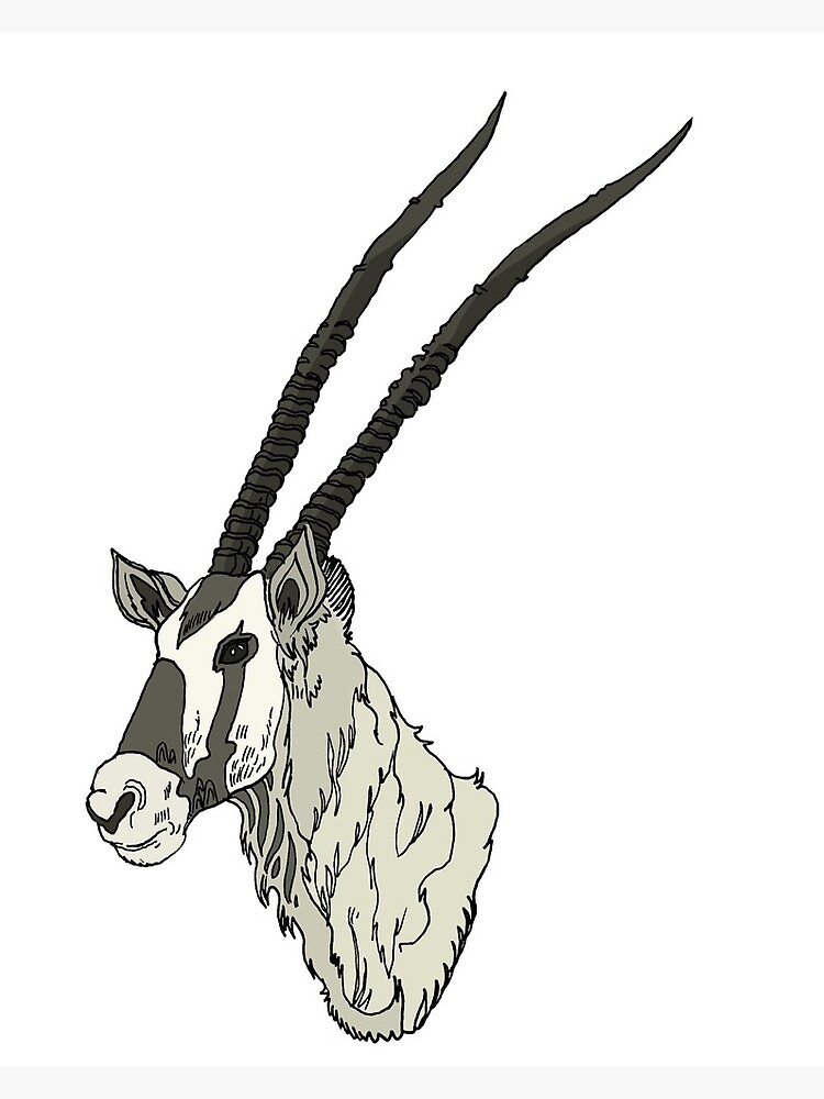 "National Animal of Bahrain: Arabian Oryx" Photographic Print for Sale ...