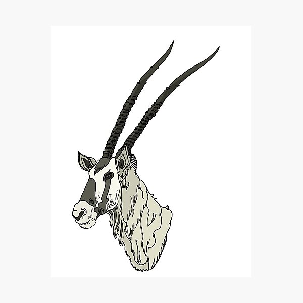 "National Animal of Bahrain: Arabian Oryx" Photographic Print for Sale ...