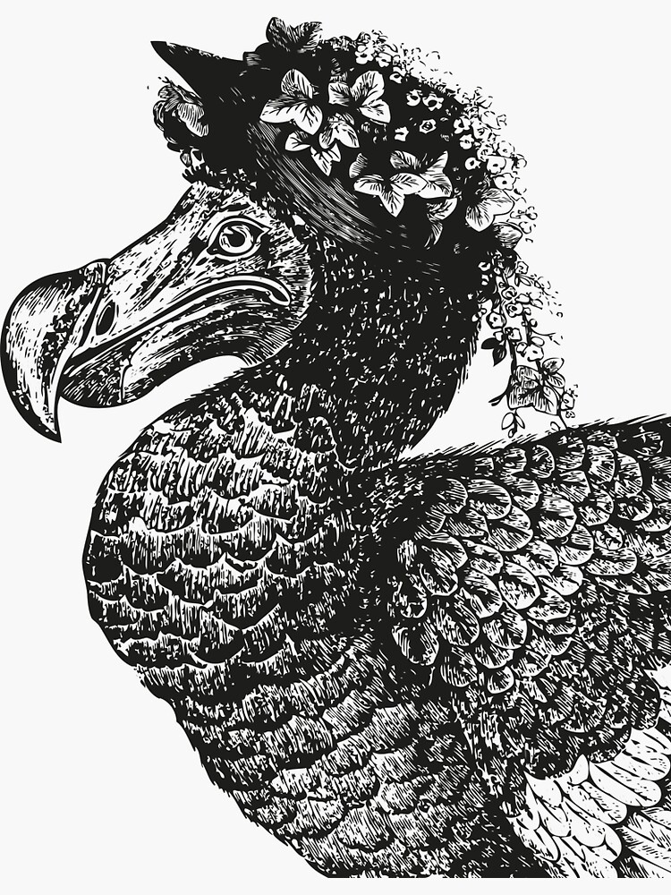 "Mrs Dodo | Vintage Dodos | Black and White | " Sticker by ...