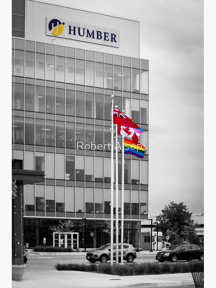 "Humber College, Toronto Canada 2" Sticker for Sale by RobertAlsop ...