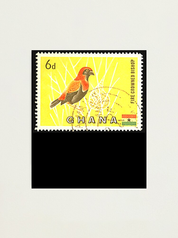 "Vintage Ghanaian Postage Stamp Fire Crowned Bishop Bird" Photographic ...
