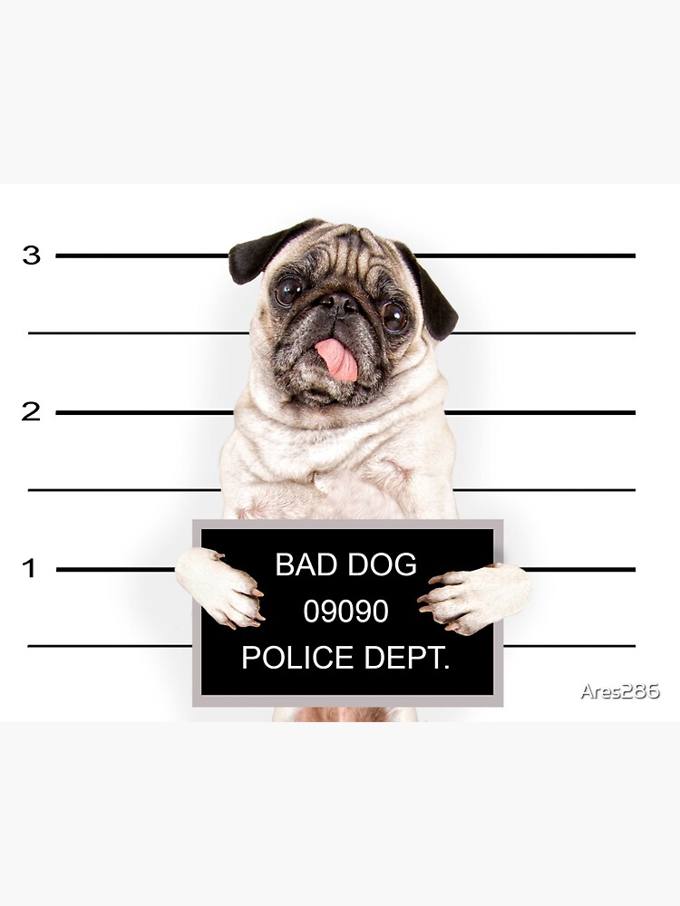 "Bad Dog" Sticker by Ares286 | Redbubble