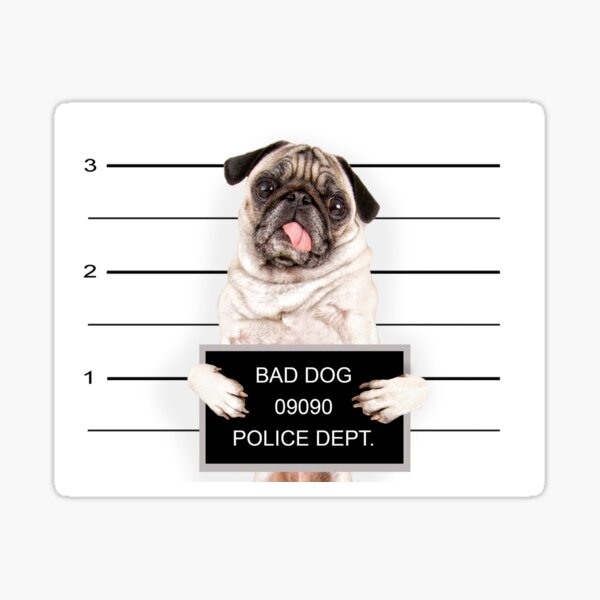 "Bad Dog" Sticker by Ares286 | Redbubble