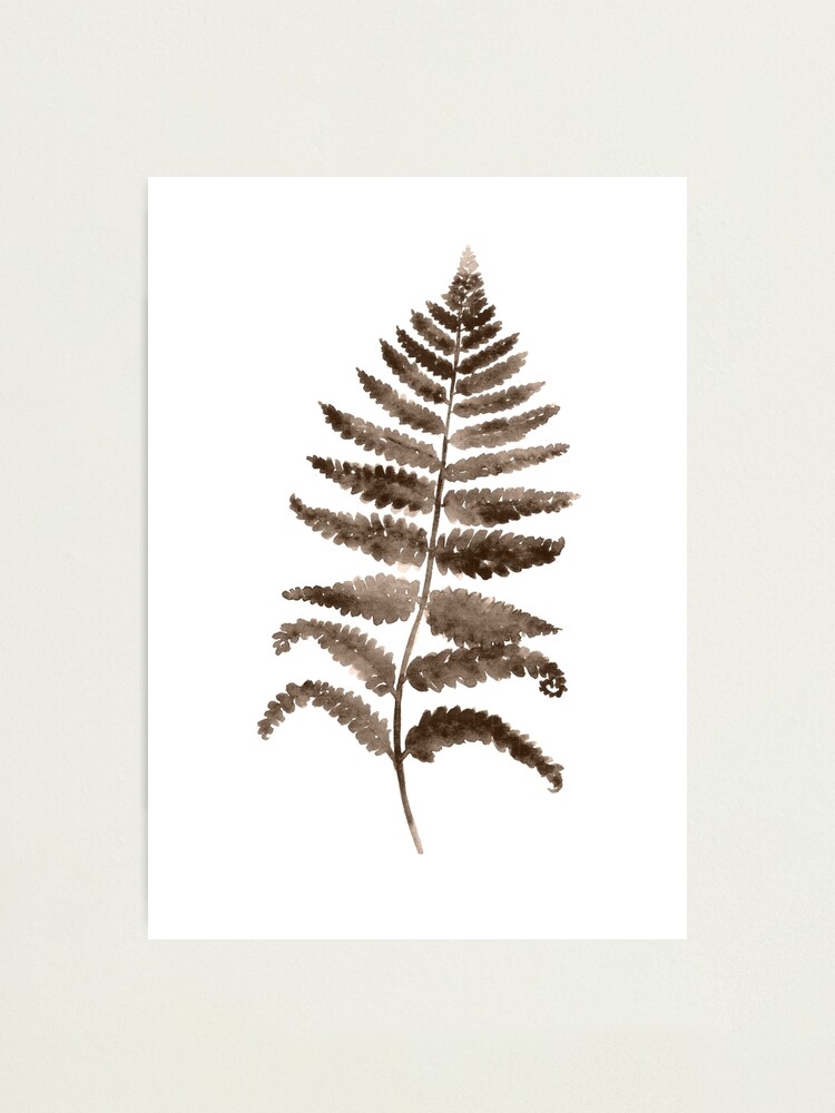 Lámina fotográfica «Fern Leaf Watercolor Painting Cartel botánico ...