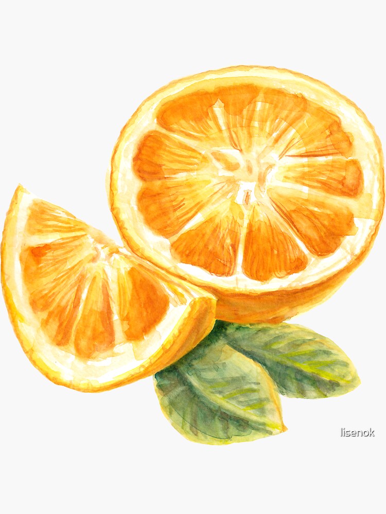 "Orange fruit" Sticker for Sale by lisenok | Redbubble