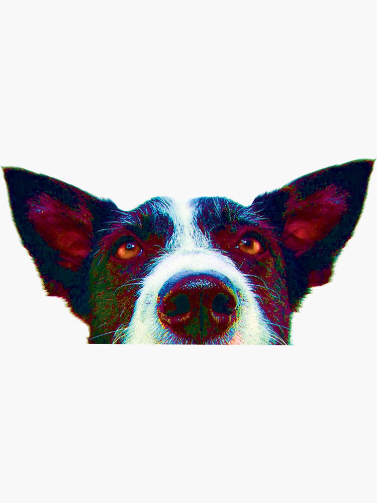 "trippy dog" Sticker for Sale by zupperman | Redbubble
