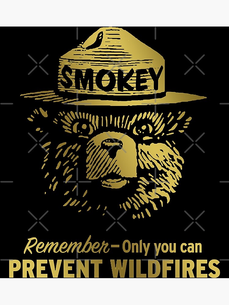 "Smokey Bear Wildfire Prevention Campaign Is The Longest-Running ...