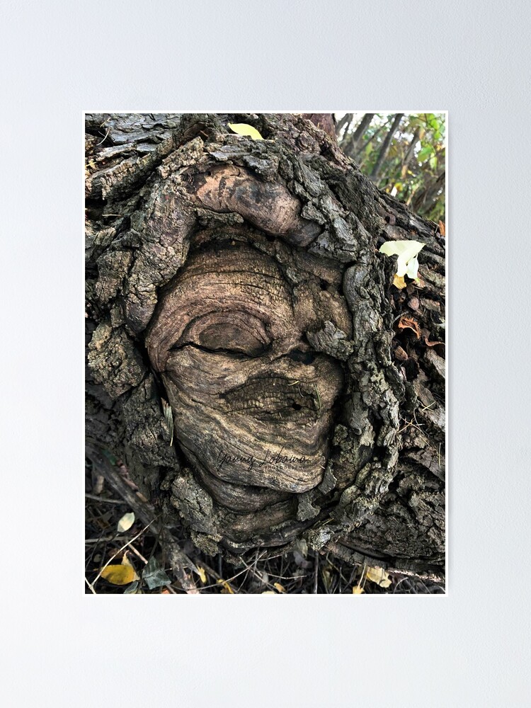 "FEMALE SPIRIT AN OAK TREE By Yannis Lobaina " Poster by lobaina1979 ...