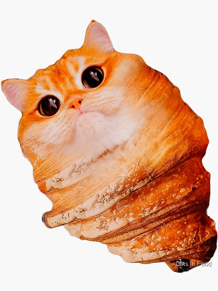 "Croissant cat" Sticker for Sale by Cats In Food | Redbubble