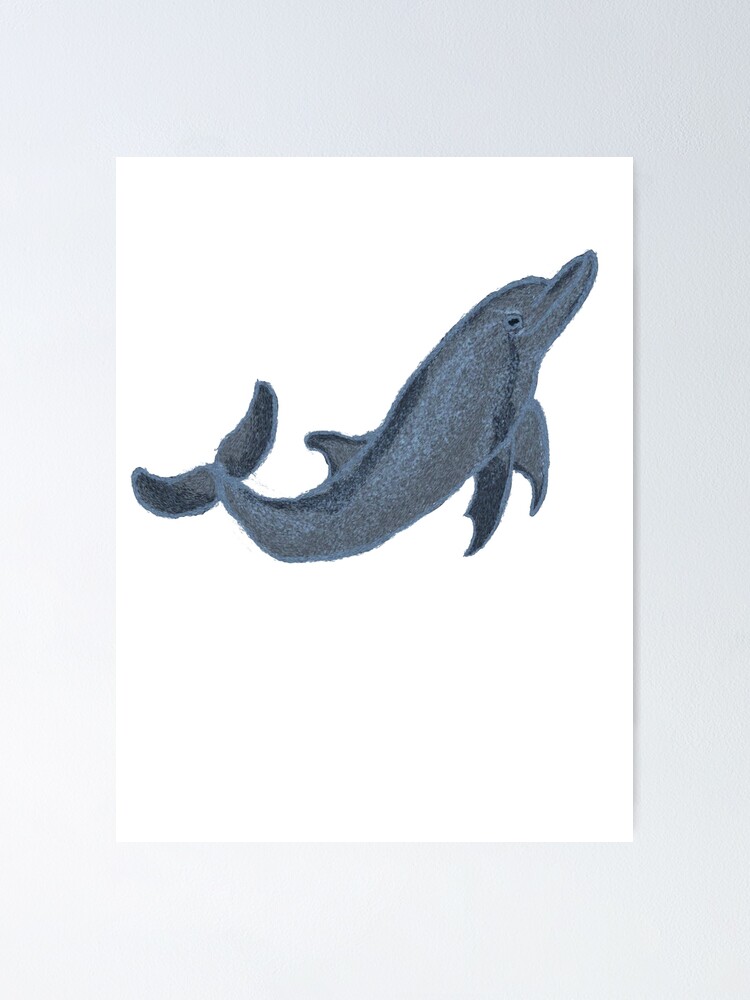 "Atlantic spotted dolphin no background" Poster for Sale by ...