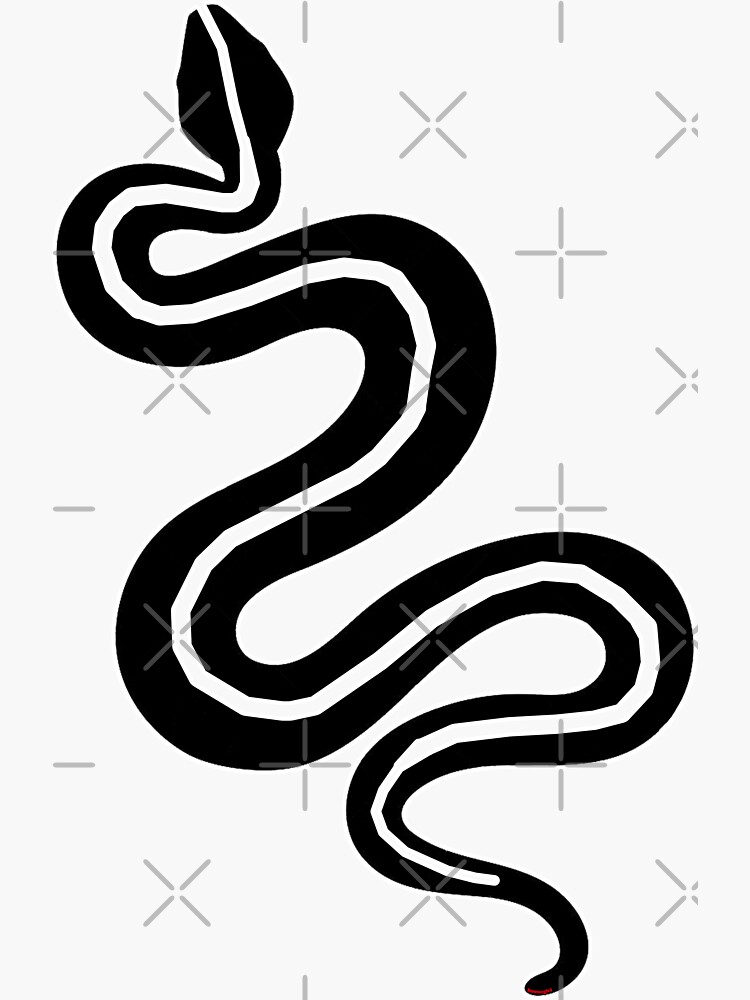 Native American Snake Symbol Amazon.com: Native American Haida Art
