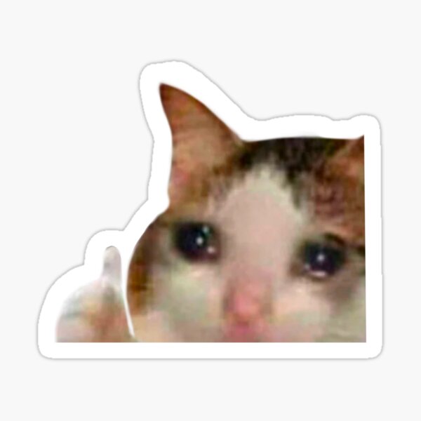 "Sad Boi Cat" Sticker by SeshStickShirts | Redbubble