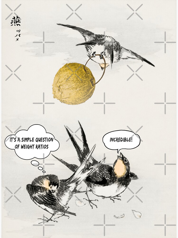 "Monty python Swallow Carrying a coconut" Sticker for Sale by ...