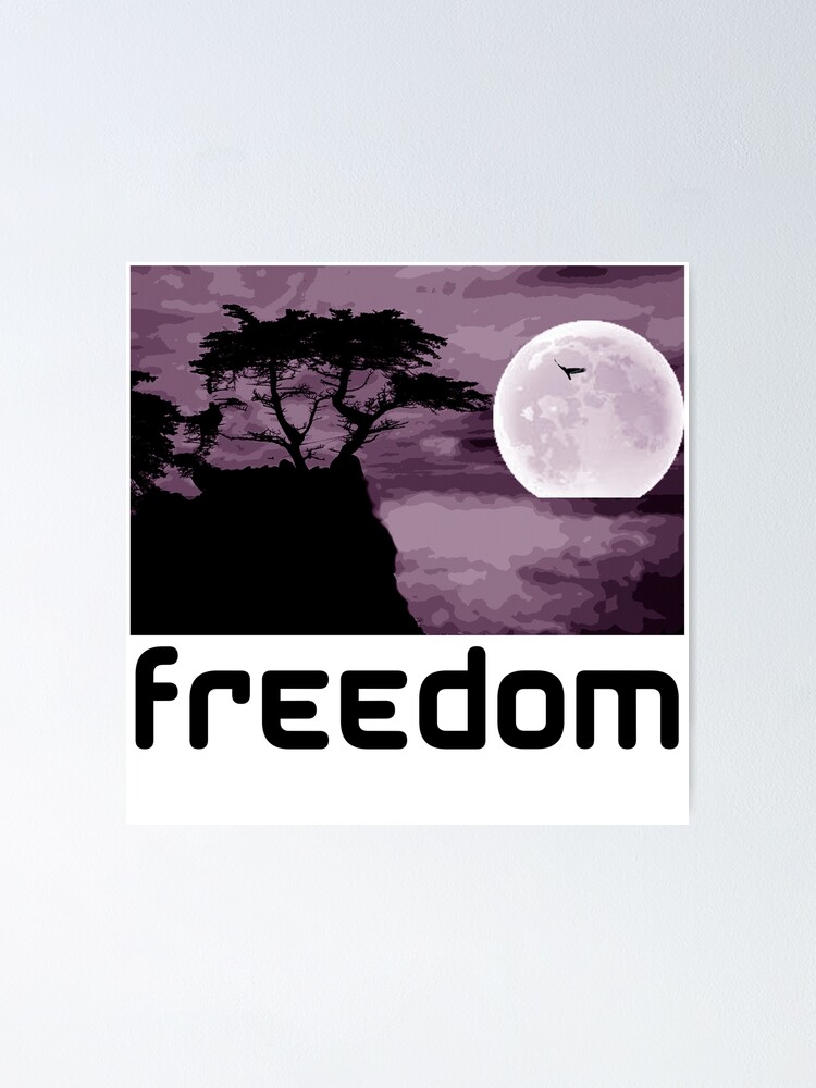 "Freedom" Poster by Fabulous3 | Redbubble