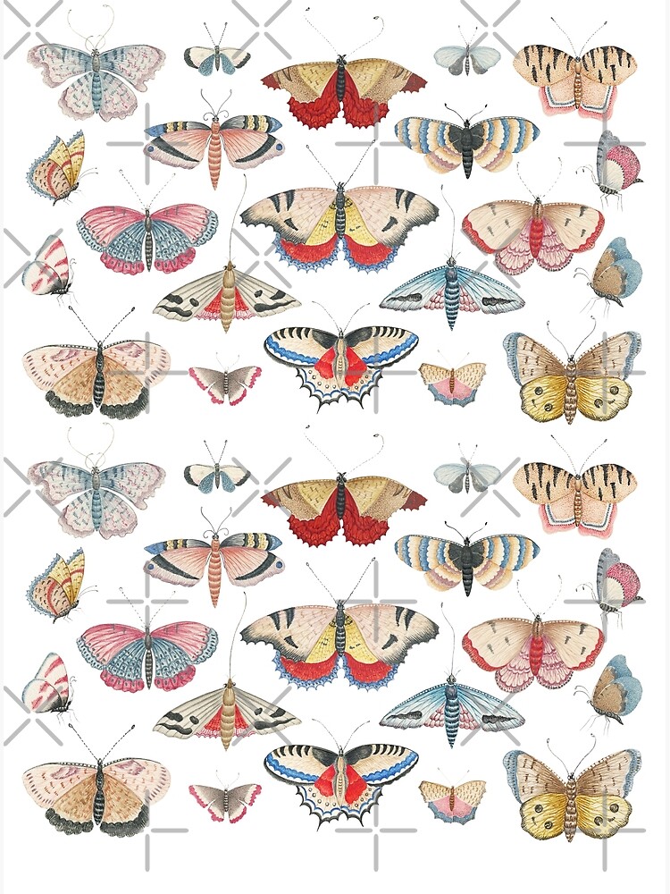 "Flutterbys, butterflies,insects,moths," Poster for Sale by 13thstreet ...