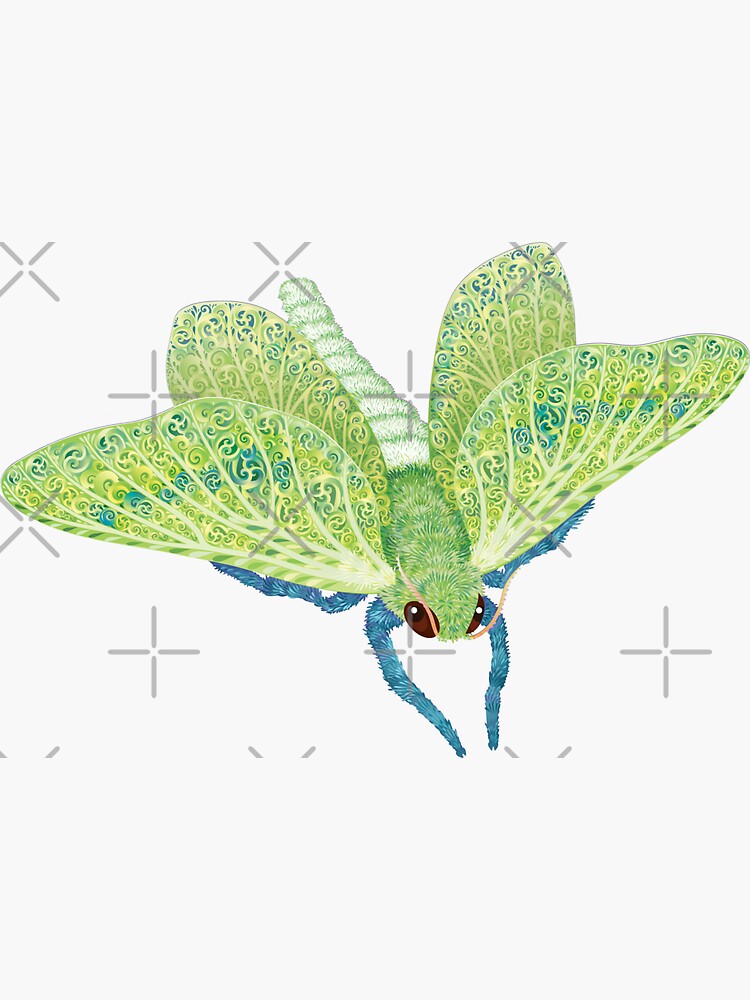"Puriri Moth" Sticker for Sale by KereruBrewing | Redbubble
