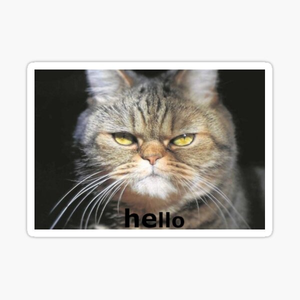 "Hello cat" Sticker by ALEX-BETY | Redbubble