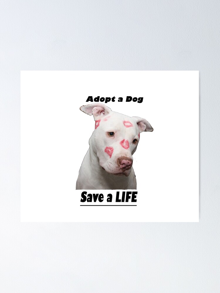 "ADOPT A DOG SAVE LIFE" Poster by ikramtobal | Redbubble