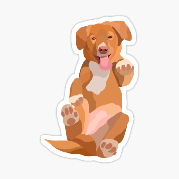 "Belly Up Toller Puppy Dog Portrait Digital Illustration" Sticker for ...