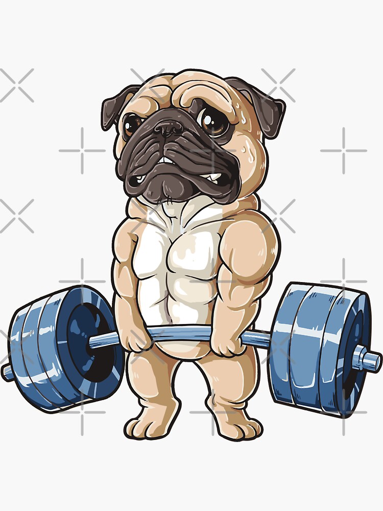 "Pug Dog Working Out - Funny Pug Fitness - gym - installing muscles ...