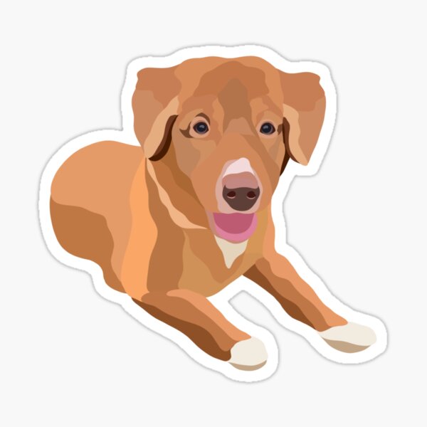 "Toller Puppy Dog Portrait Digital Illustration" Sticker for Sale by ...