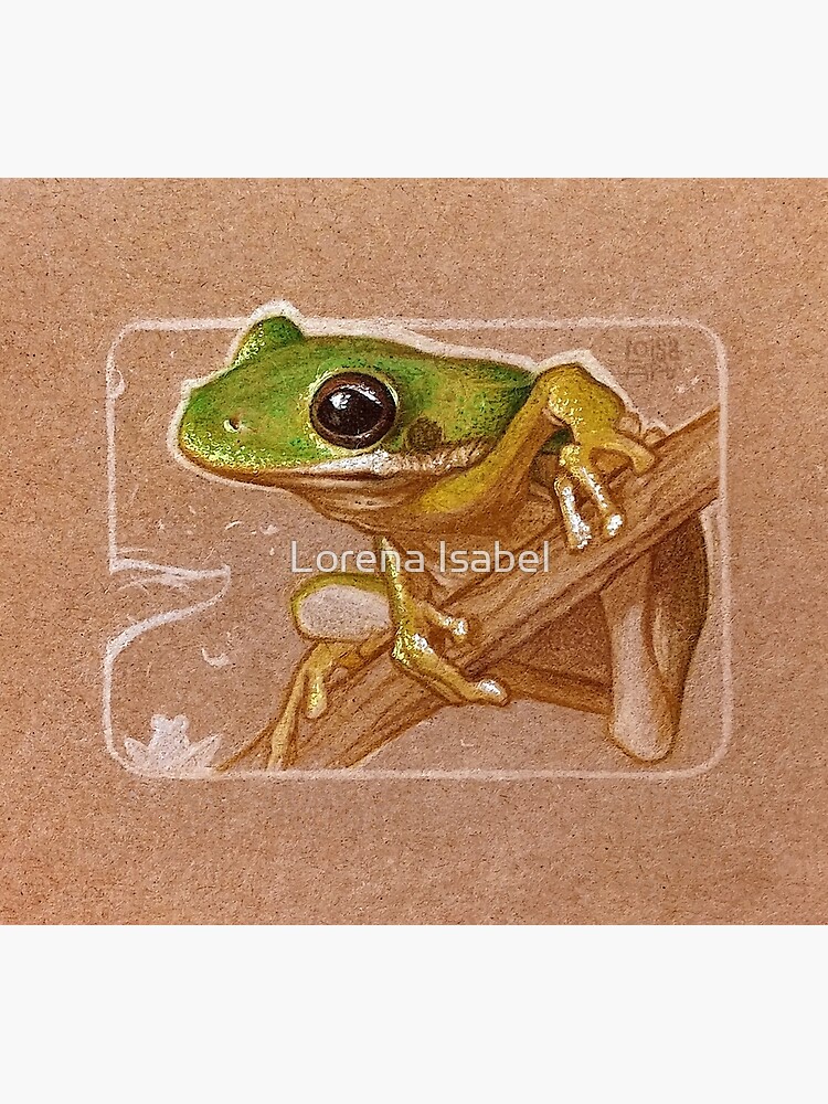 "Green tree frog" Poster by LorenaIsabel | Redbubble
