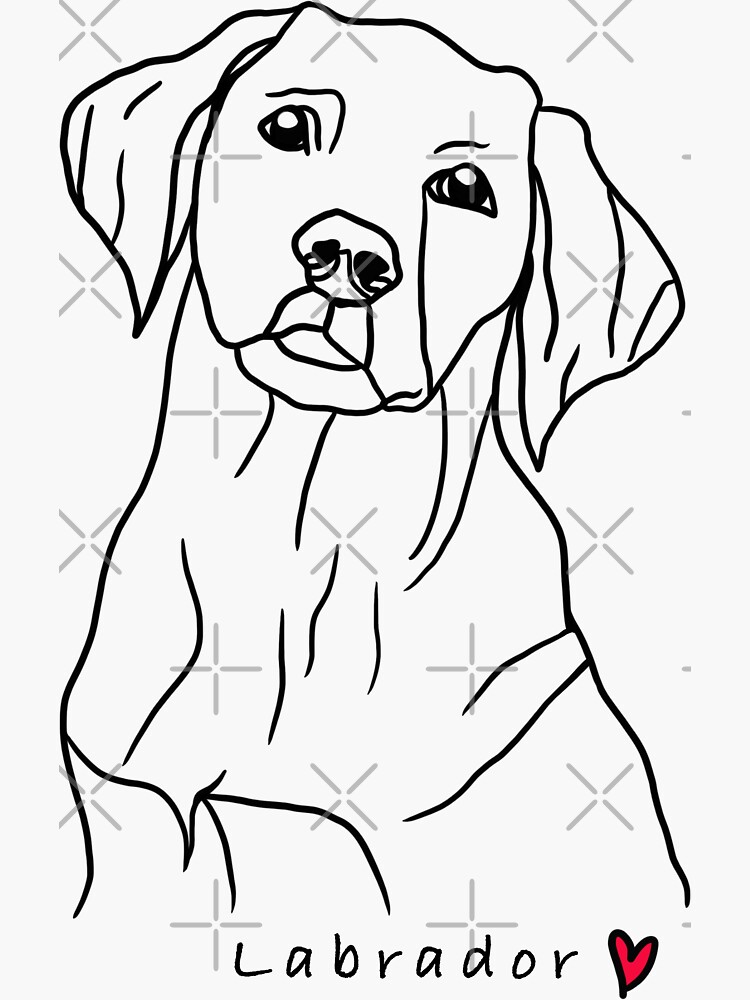 "Labrador line drawing " Sticker by DesignedByEmma1 | Redbubble