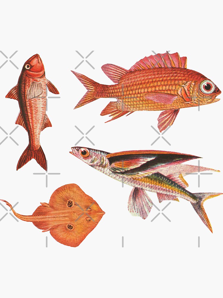 "Ocean Life No.2 - Sticker Pack" Sticker for Sale by elevens | Redbubble