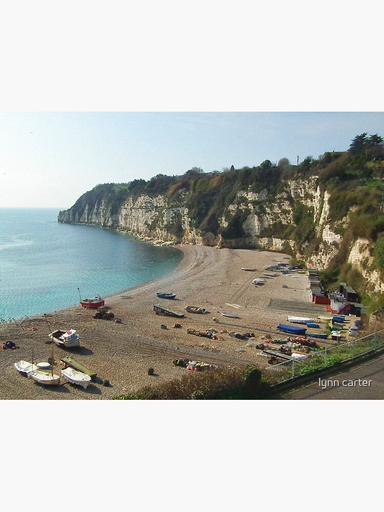 "Overlooking Beer Harbour" Poster for Sale by lynn45 | Redbubble