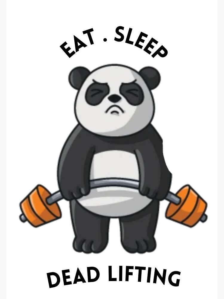 "Panda working out cute designs " Sticker for Sale by shammaTH | Redbubble