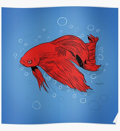Betta Fish: Posters | Redbubble