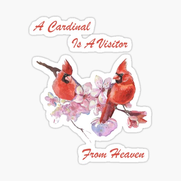"Cardinal" Sticker for Sale by TracyMcConnell | Redbubble