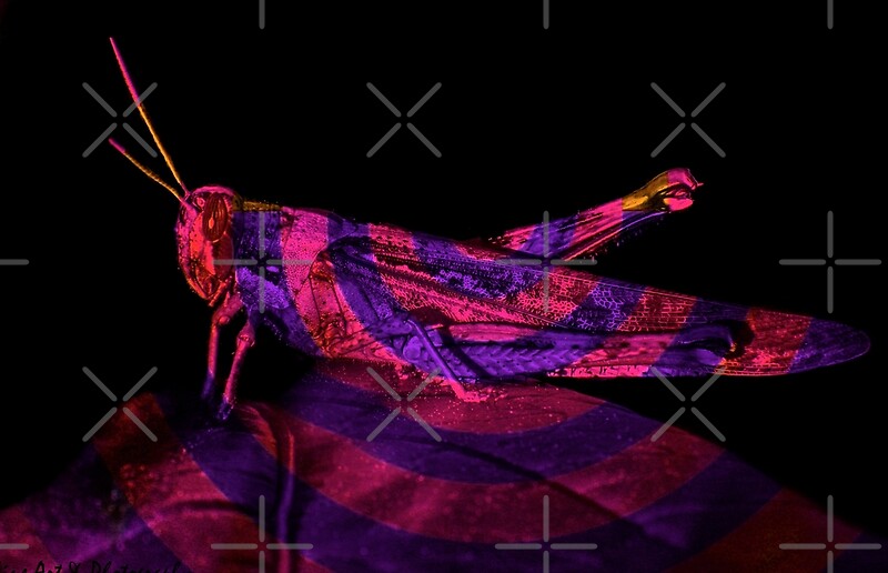 "Purple Hopper from planet Zorg " by Heather Friedman | Redbubble