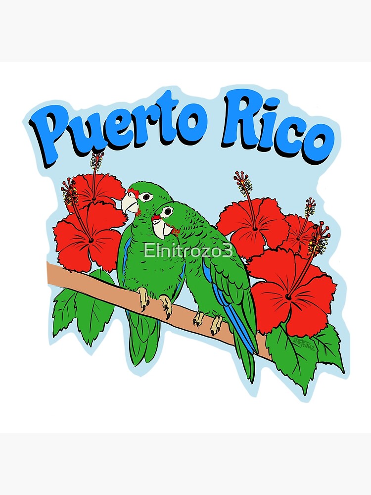 "Puerto Rico parrots" Poster for Sale by Elnitrozo3 | Redbubble