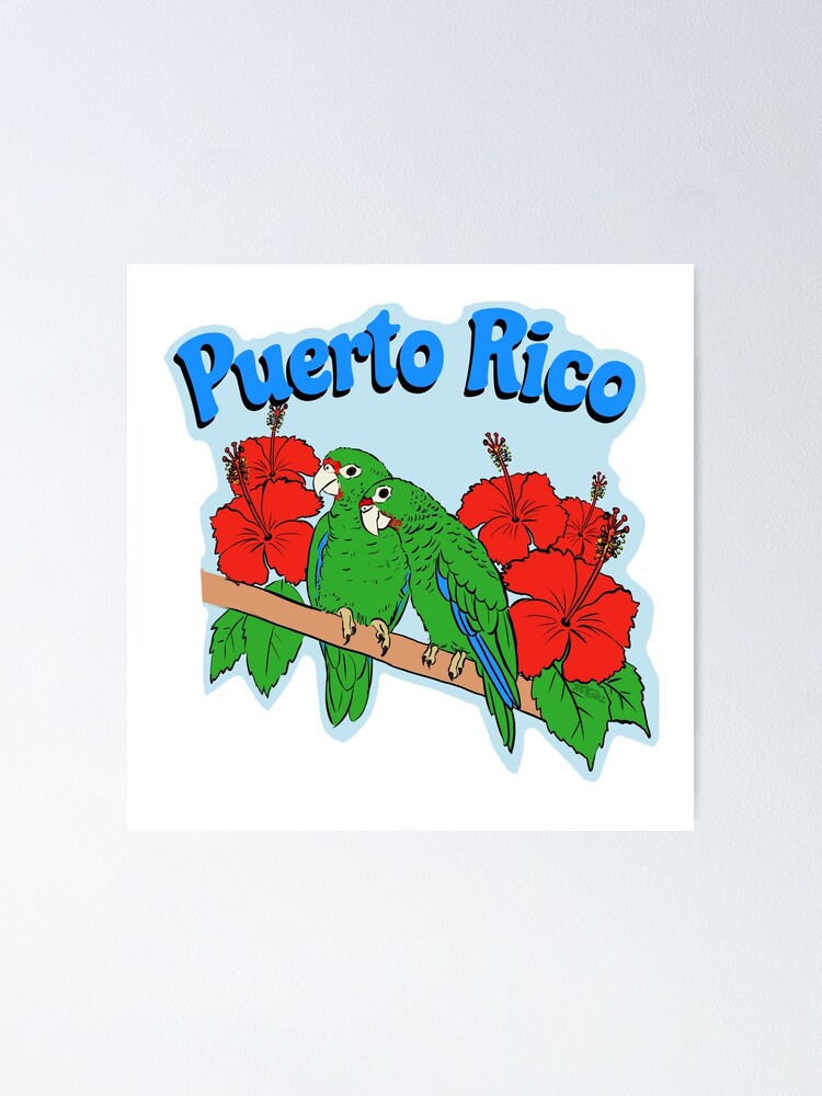 "Puerto Rico parrots" Poster for Sale by Elnitrozo3 | Redbubble