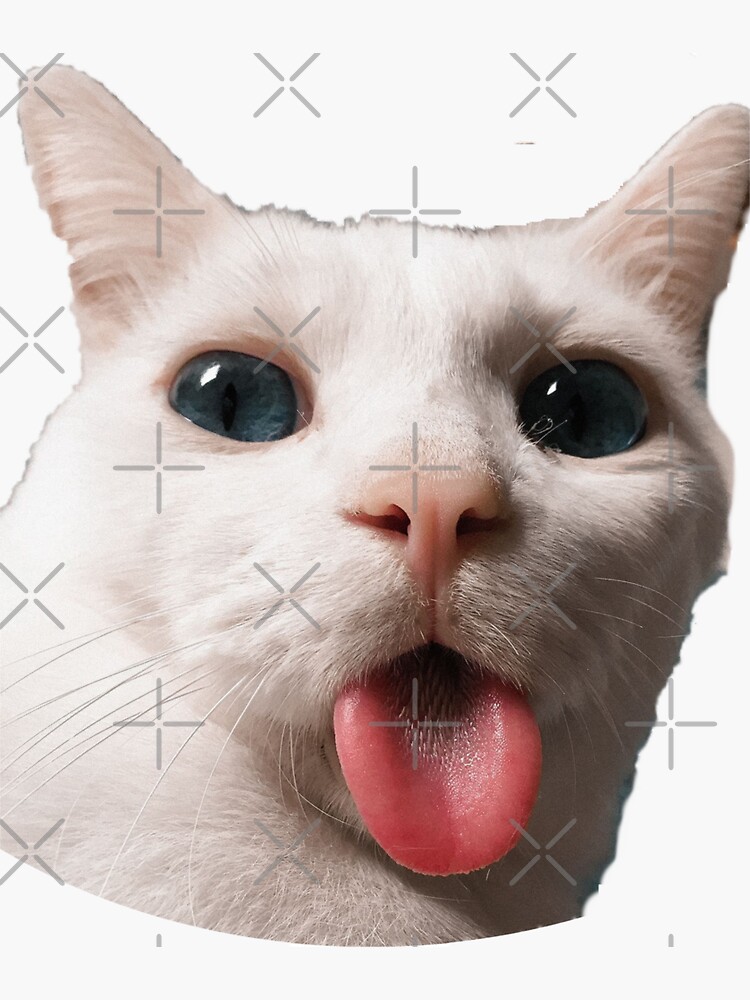 "Funny Cat Lips Meme" Sticker for Sale by mo91 | Redbubble