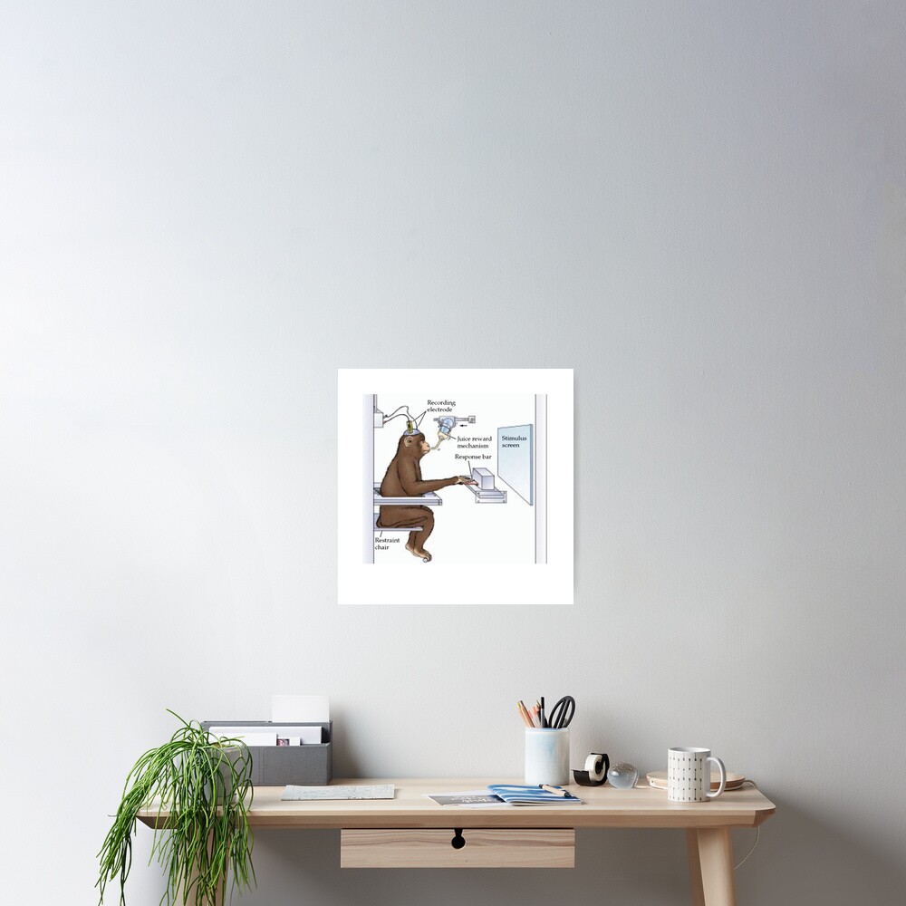 "Monkey Stimulus Juice Reward Meme" Poster for Sale by LtFrenchFries ...