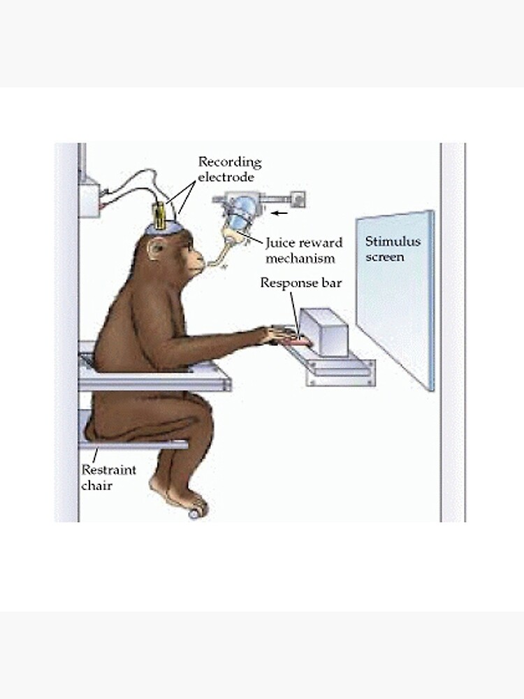 "Monkey Stimulus Juice Reward Meme" Poster for Sale by LtFrenchFries ...