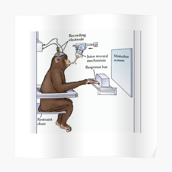 "Monkey Stimulus Juice Reward Meme" Poster for Sale by LtFrenchFries ...