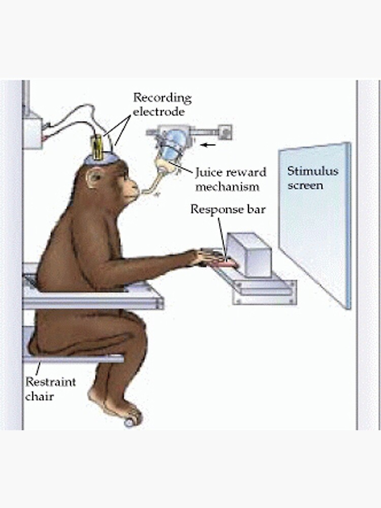 "Monkey Stimulus Juice Reward Meme" Sticker for Sale by LtFrenchFries ...