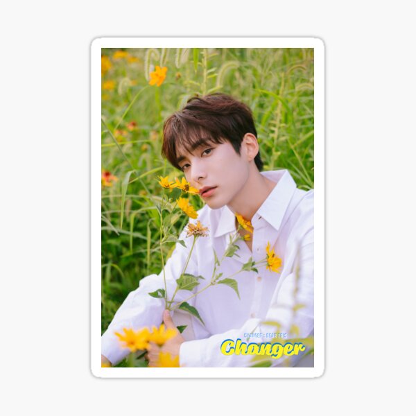 "ACE Jun" Sticker for Sale by HaloHaloShine | Redbubble