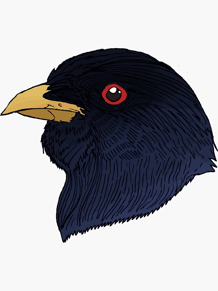 "National Animal of Haiti: Hispaniola Trogon" Sticker for Sale by ...