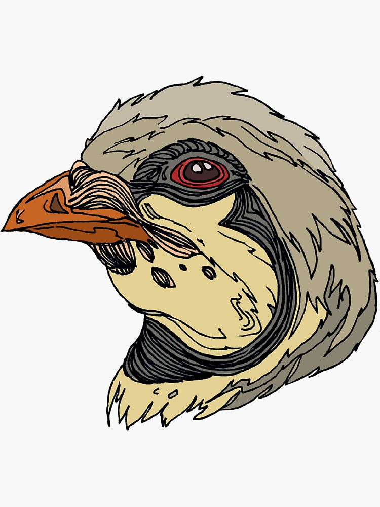 "National Animal of Iraq: Chukar Partridge" Sticker for Sale by ...