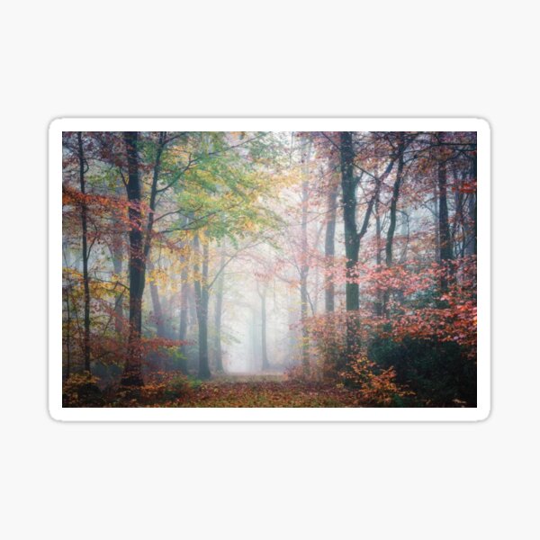 "Colored Forest" Sticker for Sale by RiverenAshley | Redbubble