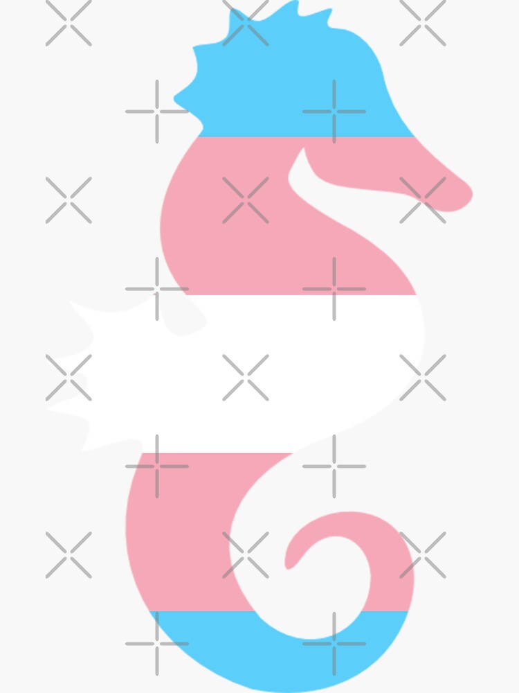 "Seahorse - Trans*" Sticker for Sale by nationalpride | Redbubble