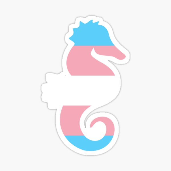 "Seahorse - Trans*" Sticker for Sale by nationalpride | Redbubble