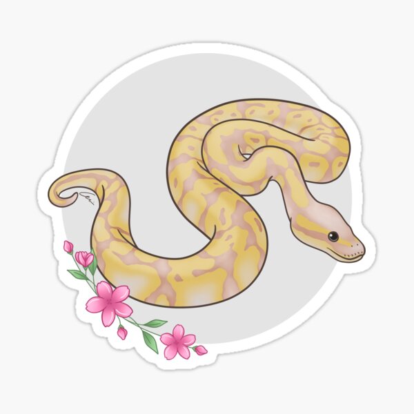 "Banana Ball Python Floral Theme!" Sticker for Sale by anacecilia ...
