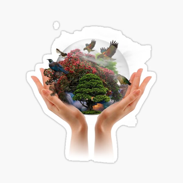 "NZ's Biodiversity Is In Our Hands | PF2050 100% of profits fundraiser ...