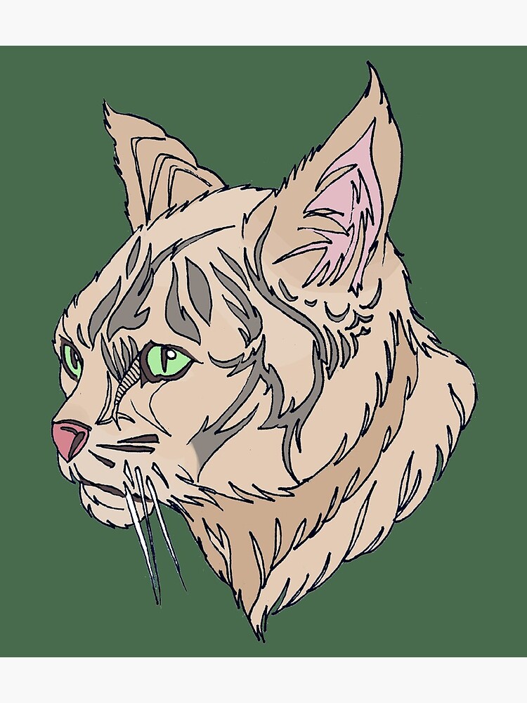 "National Animal of Mauritania: African Wildcat" Photographic Print for ...