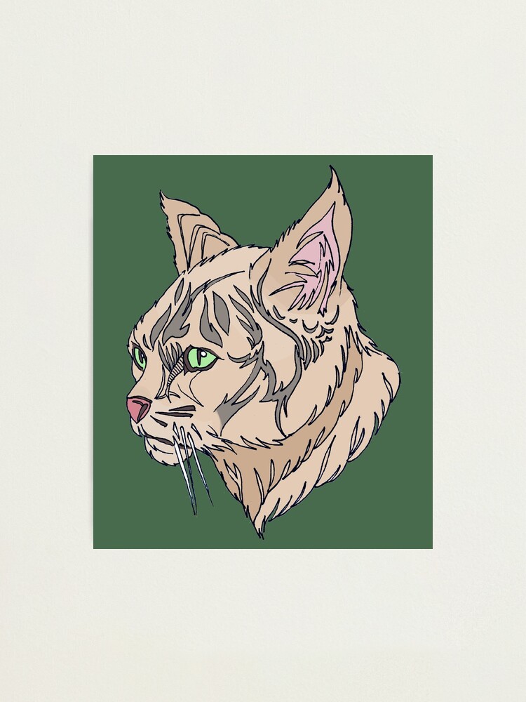 "National Animal of Mauritania: African Wildcat" Photographic Print for ...